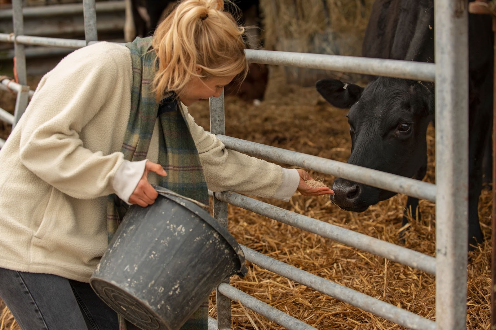 The Benefits of Using Zinc Oxide in Animal Feed Grade: A Comprehensive ...